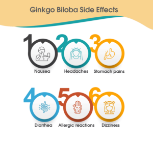 Best Ginkgo Biloba Memory Supplements: Benefits, Side Effects, and More
